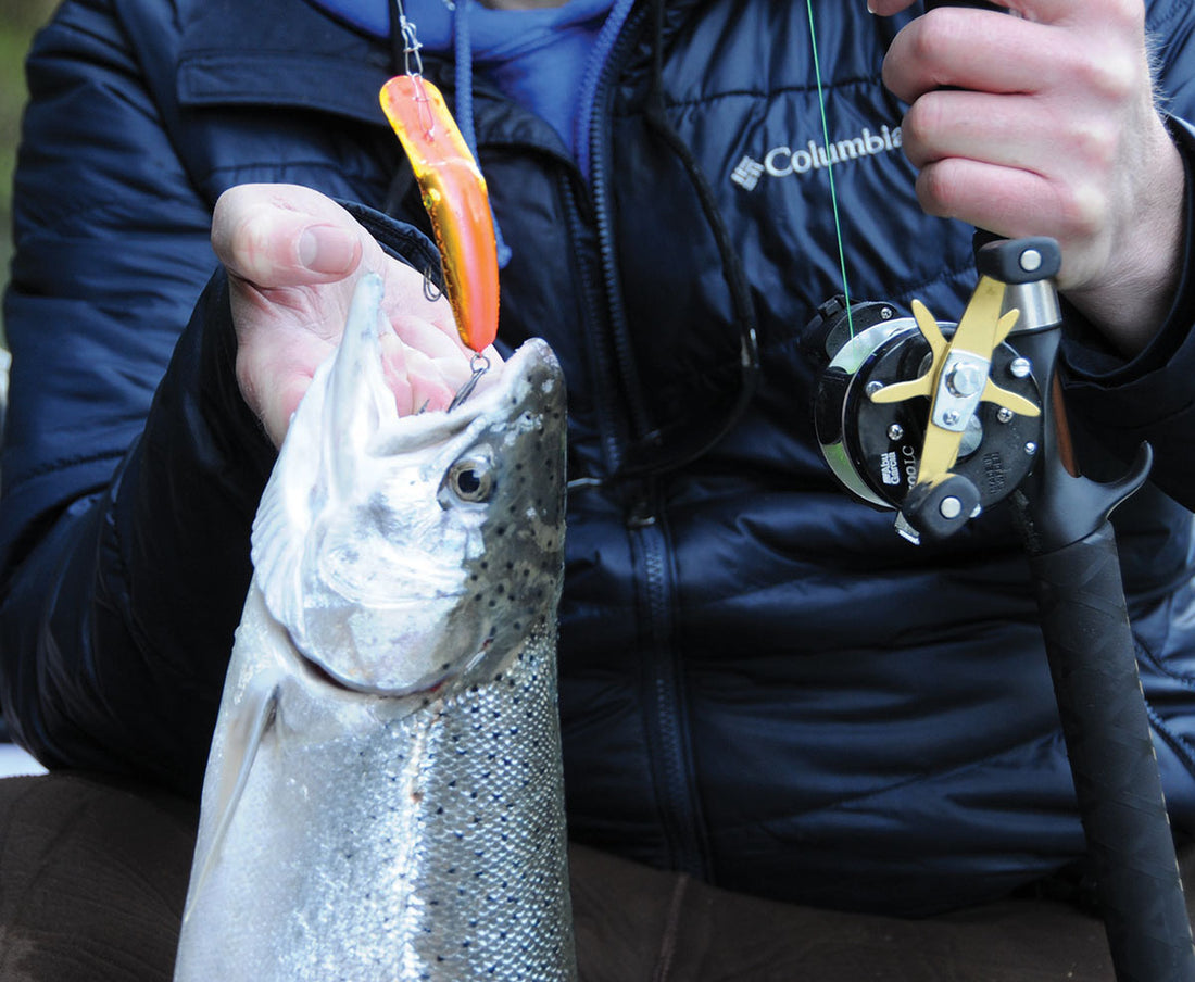 PUTTING IN A PLUG FOR STEELHEAD FISHING - Bob Rees – Salmon Trout ...