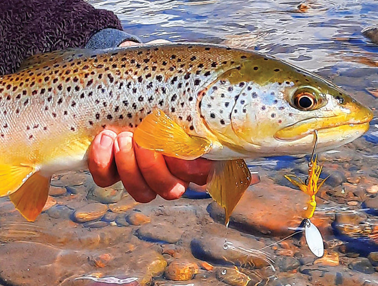 ROOSTER TAIL GRAND SLAM - Bill Herzog – Salmon Trout Steelheader