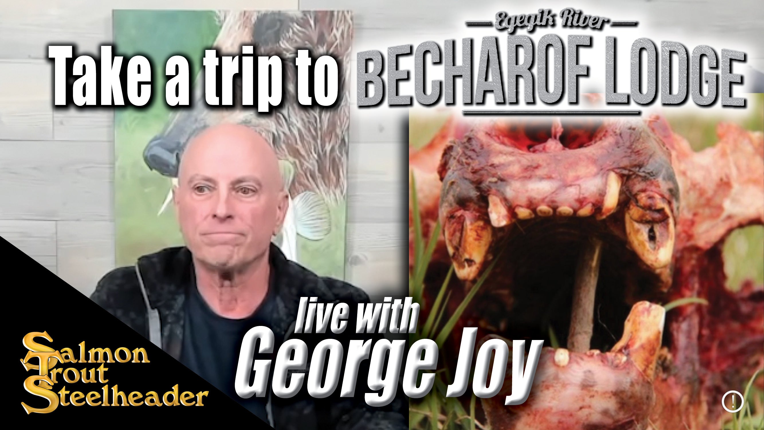 Take a trip to Becharof Lodge in Alaska with George Joy – Salmon Trout ...