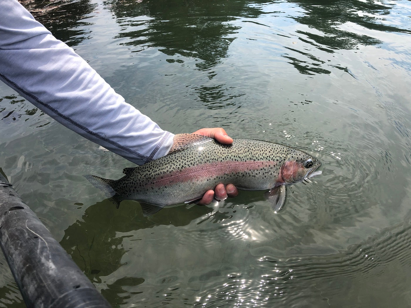 Keeping It Quiet by Nick Amato – Salmon Trout Steelheader