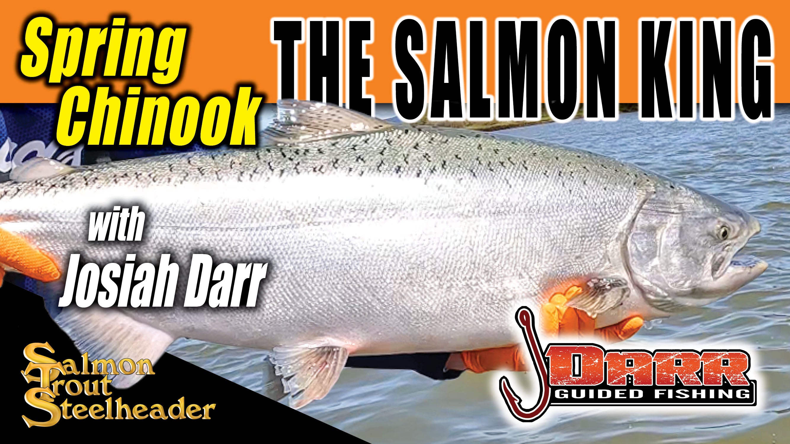 Spring Chinook - THE SALMON KING – Salmon Trout Steelheader