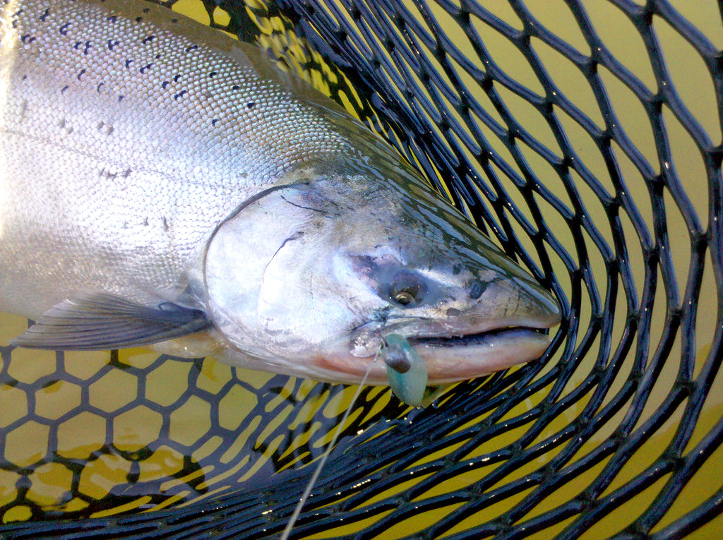 Spring Salmon Tricks: In Case of Emergency, Break Glass by JD Richey ...