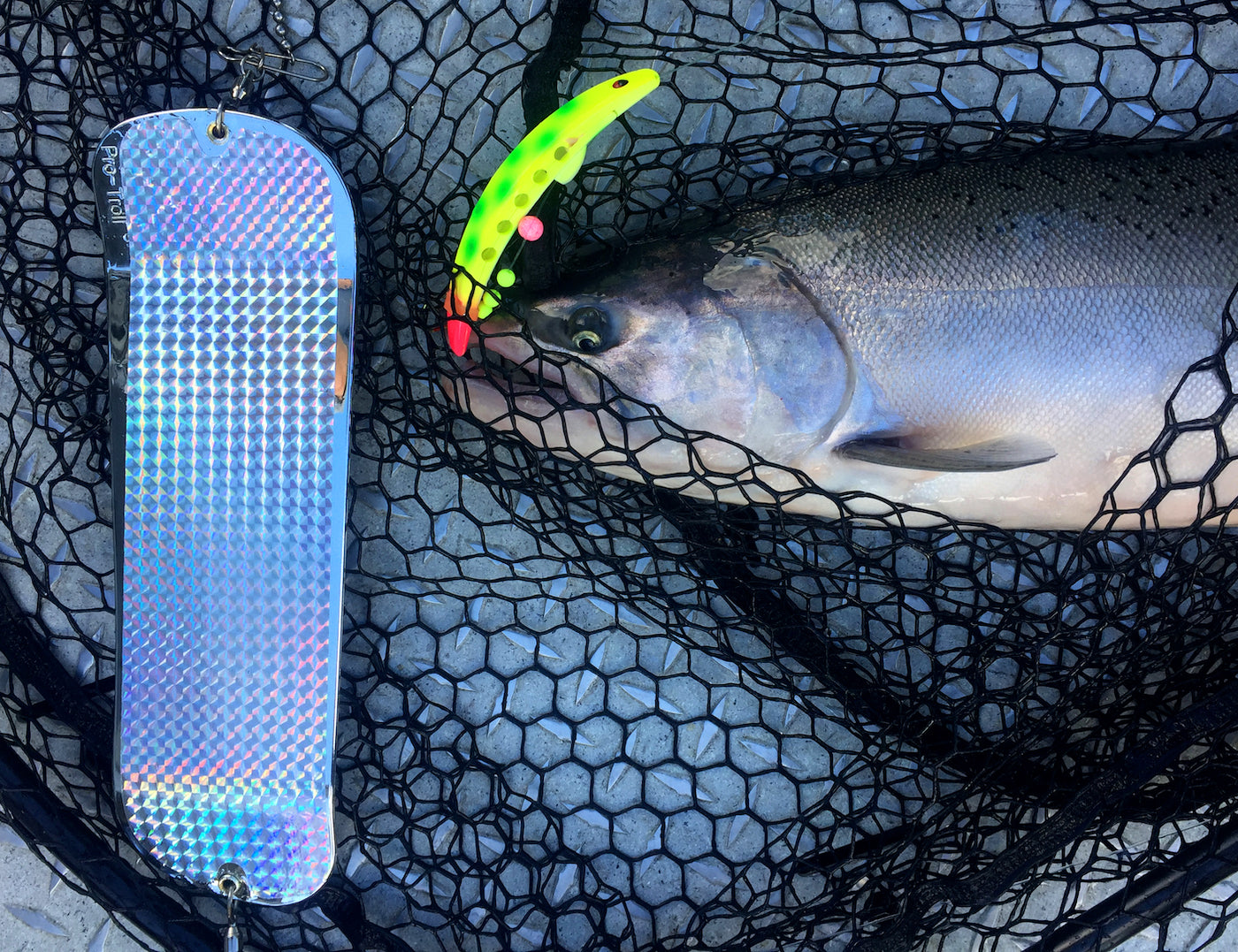 The Worst Kept "Secret" Salmon Rig by JD Richey – Salmon Trout Steelheader
